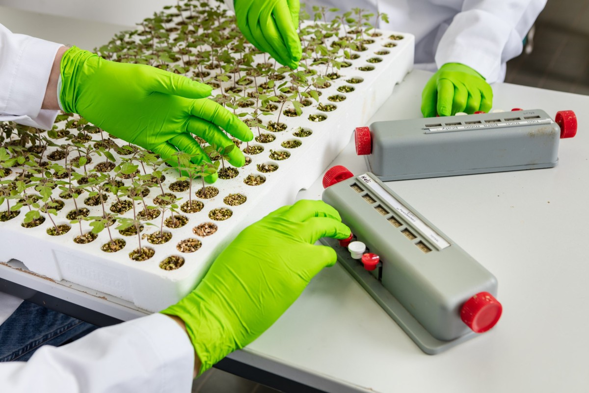 Seed quality control center - SQCC