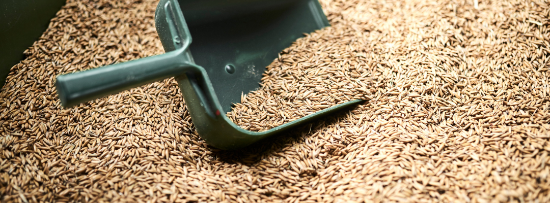 Seed quality control center - SQCC